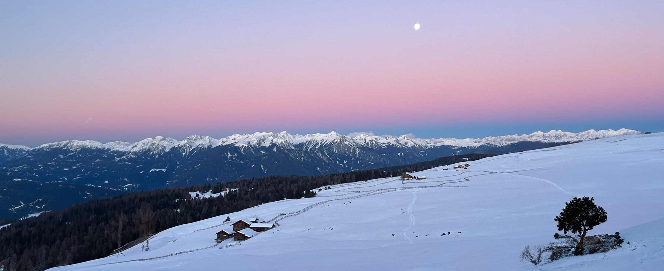 ALPE DI LUSON, UN BALCONE SULLE DOLOMITI - Escursioni Millemonti